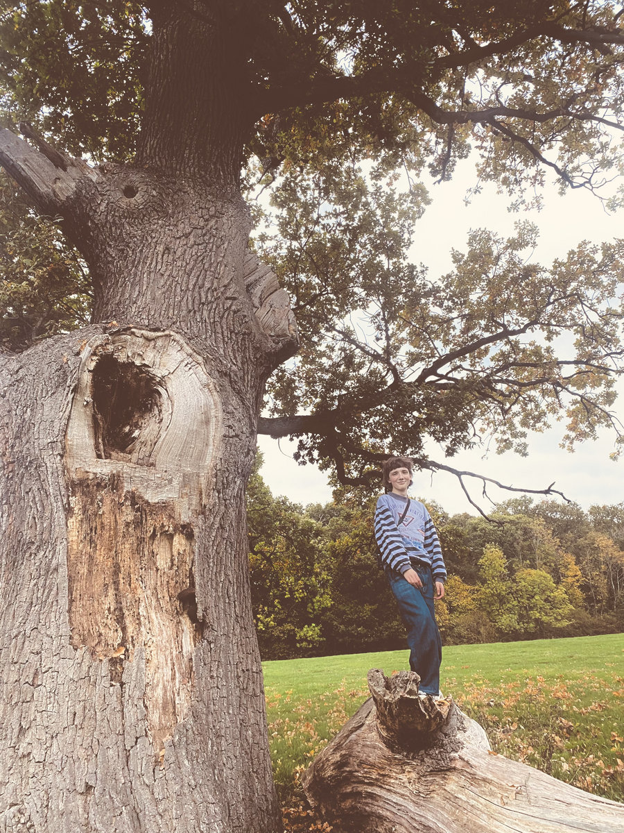 Buttercups | Jake Lane