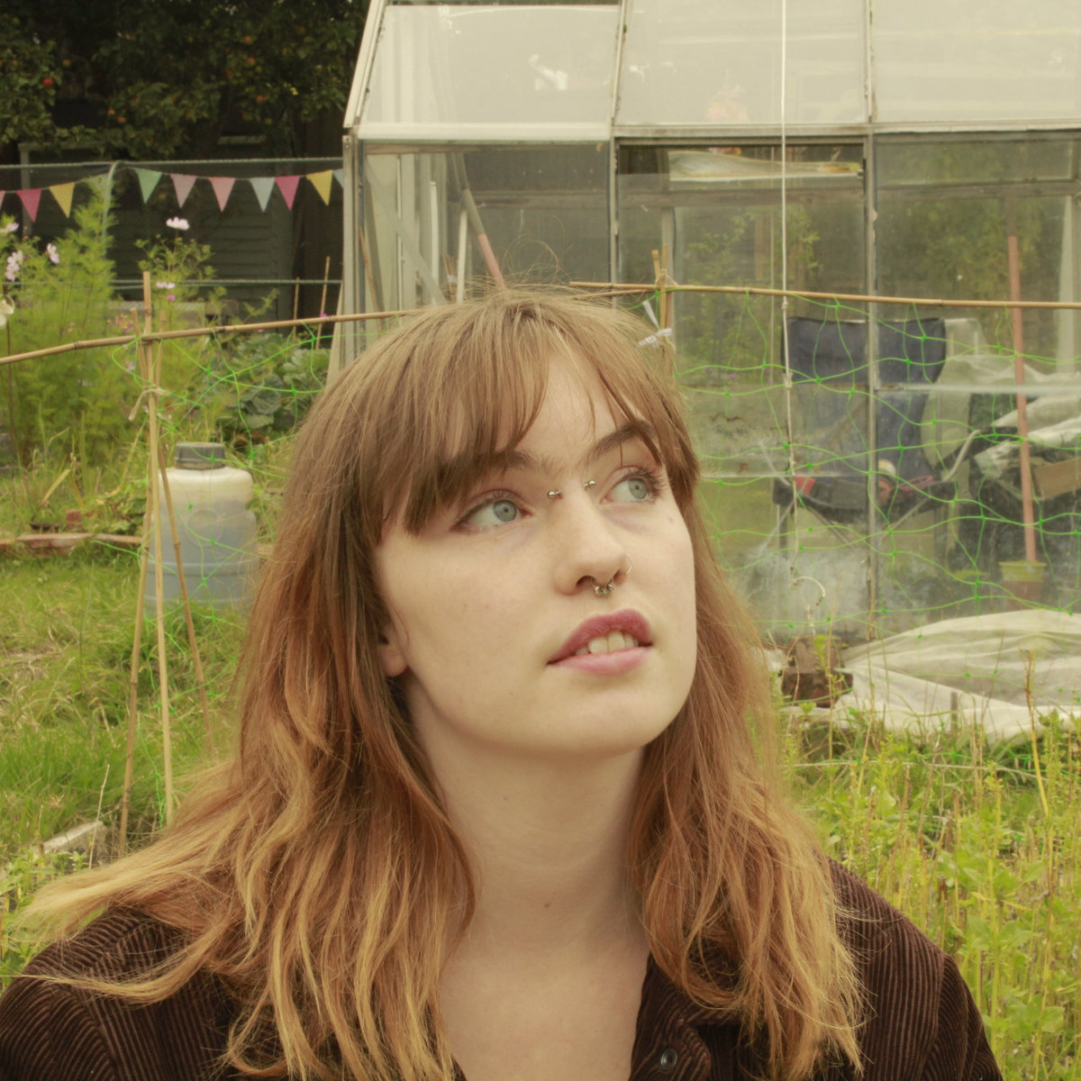 The Foxes, They Told Me | Emily Keeble