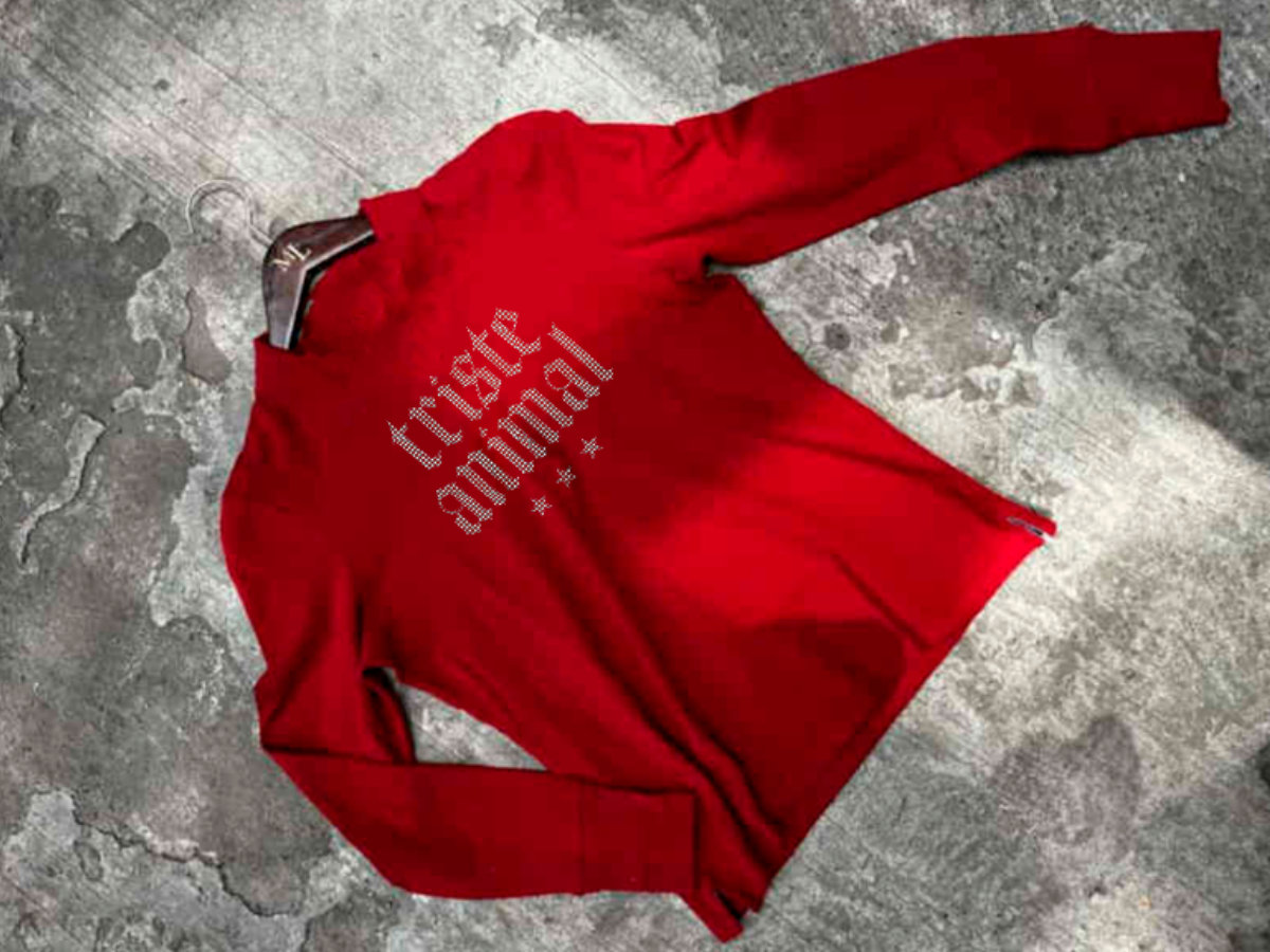 Polos - Triste Animal | Lou-Adriane Cassidy