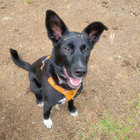 Moonlighting | maromaro