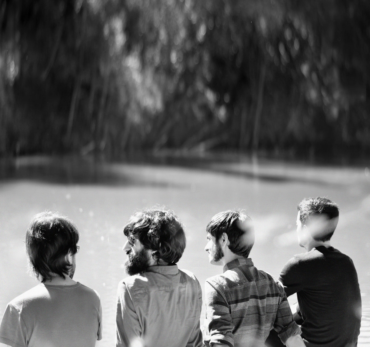 Flying Tales And Nightmares Cosmic Birds