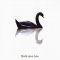 The Messenger | Black Swan Lane
