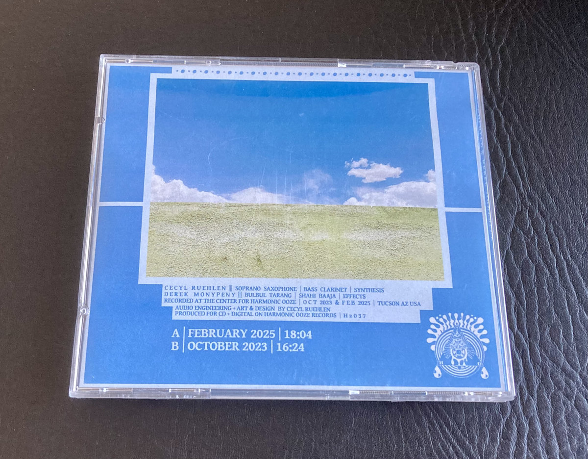 Arid Parallel | Derek Monypeny & Cecyl Ruehlen | Harmonic Ooze Records