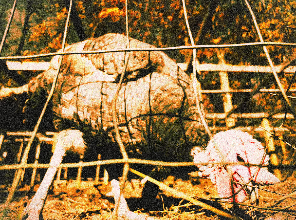 B-Sides | death_on_impact