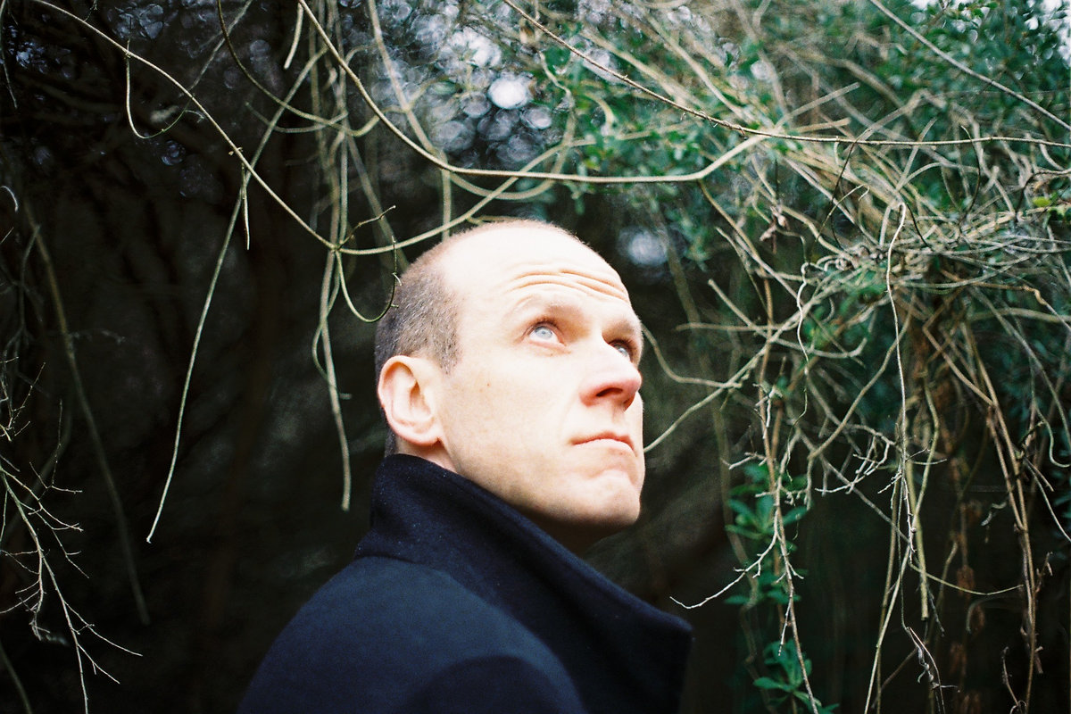 Phantom Pain | Tim Clark