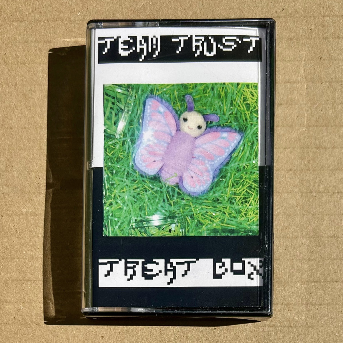 Treat Box | Team Trust