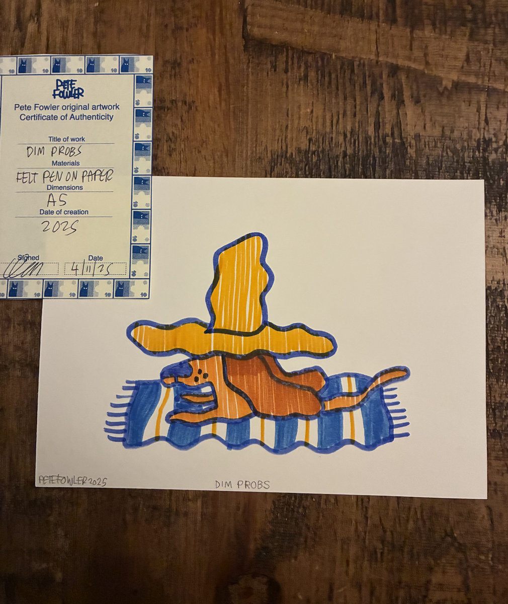 A5 Pete Fowler hand drawn Dim Probs Edition - ltd to 20 copies | Gruff Rhys
