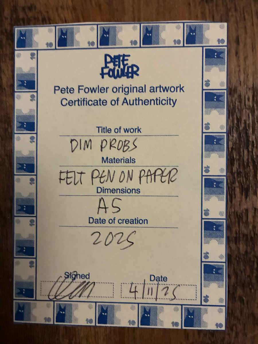 A5 Pete Fowler hand drawn Dim Probs Edition - ltd to 20 copies | Gruff Rhys