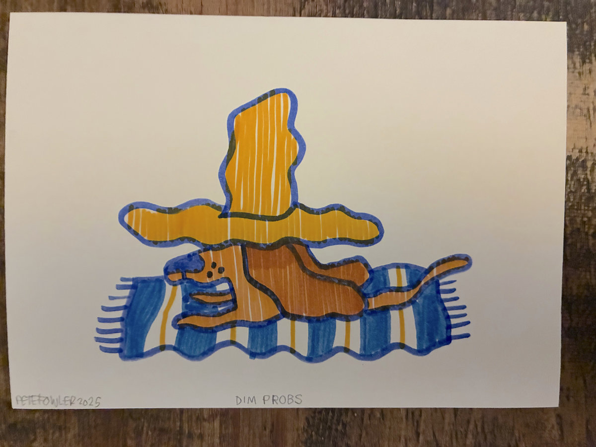 A5 Pete Fowler hand drawn Dim Probs Edition - ltd to 20 copies | Gruff Rhys