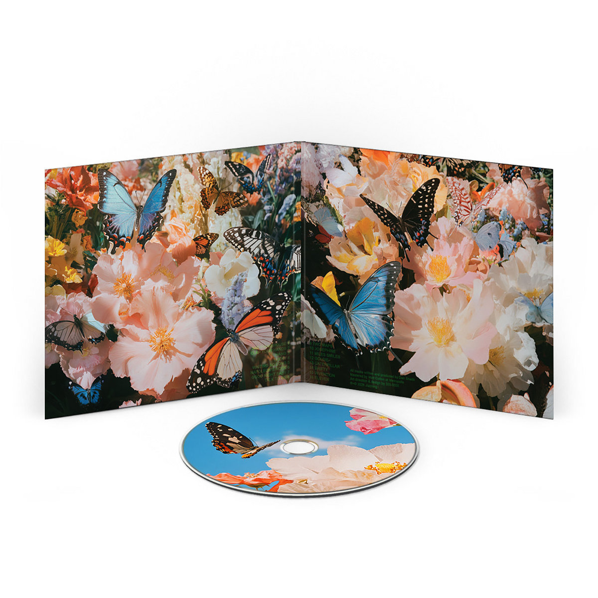 Clap Your Hands | Daphni | Caribou