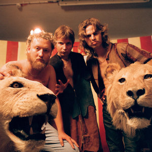 Music | The Stingrays
