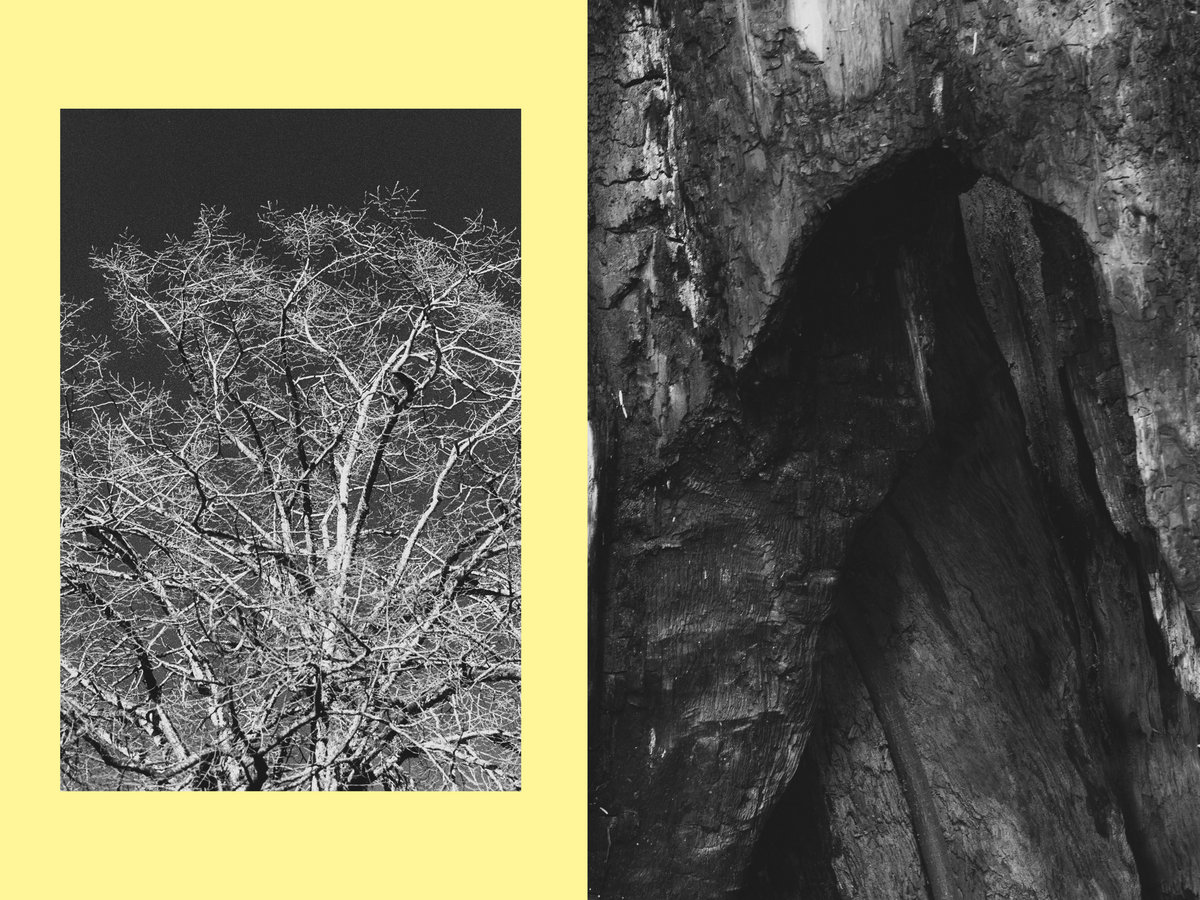 Ash - Photo Zine & CD | loscil