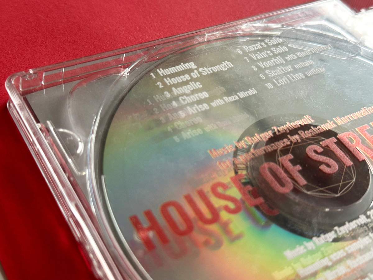 House of Strength | Rutger Zuydervelt | DRONARIVM
