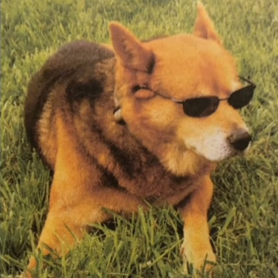 dumperghost's collection | Bandcamp