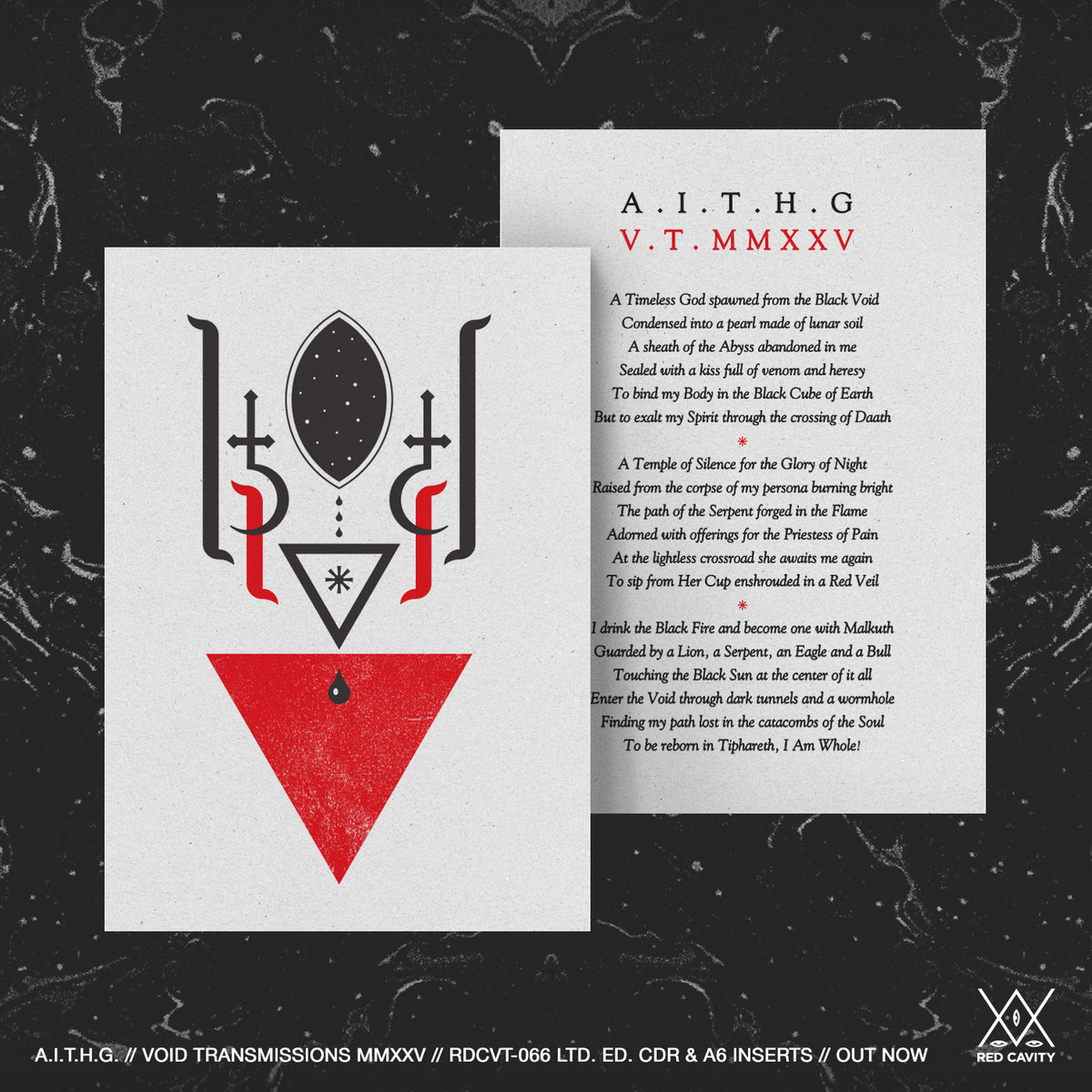 Void Transmissions MMXXV | ALONE IN THE HOLLOW GARDEN