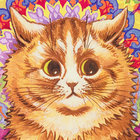 Frailty | Jane Remover