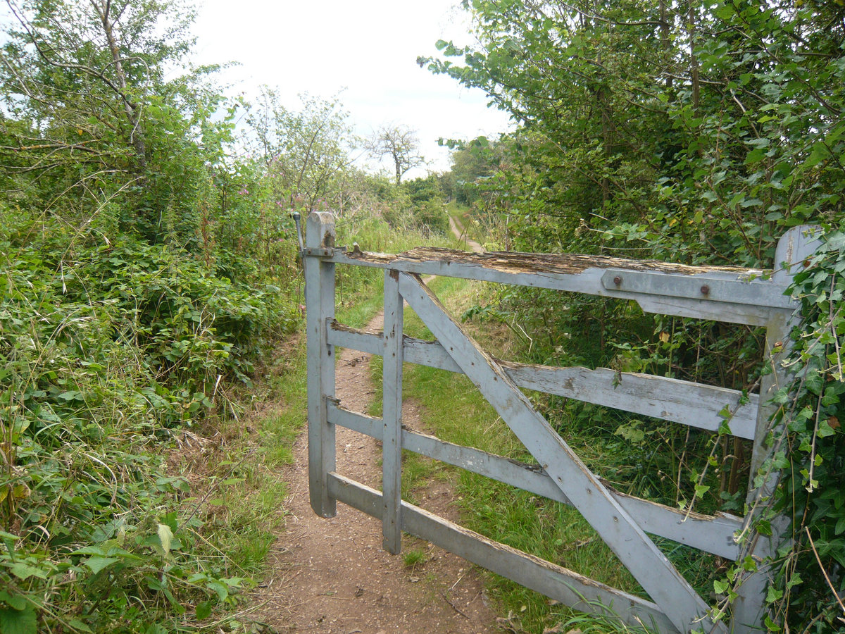 The Singing Places | Virginia Astley