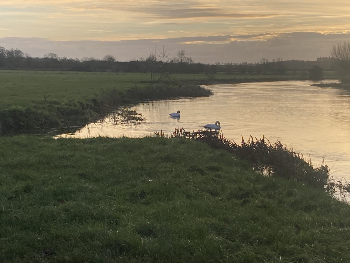 The Singing Places | Virginia Astley