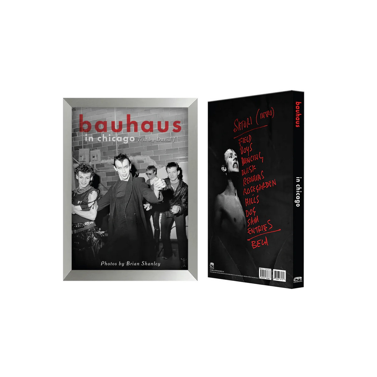 David J / Brian Shanley - Hardcover Book - Signed by David J | David J