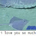 Frailty | Jane Remover