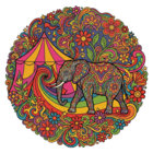 Live at Madison Square Garden | Goose