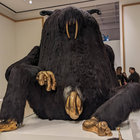 Crisps | Getdown Services