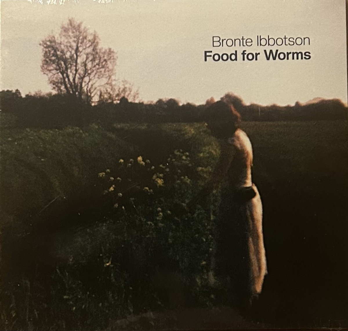 Food for Worms | Bronte Ibbotson | Lit Soc Records