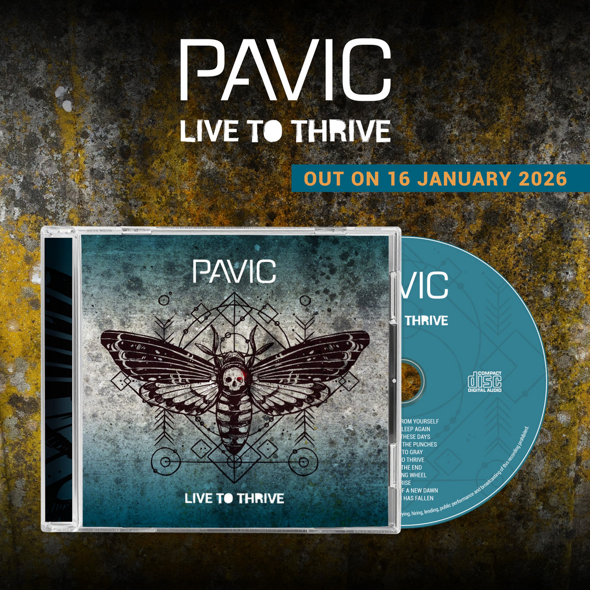 Never Sleep Again | Pavic | Marko Pavic