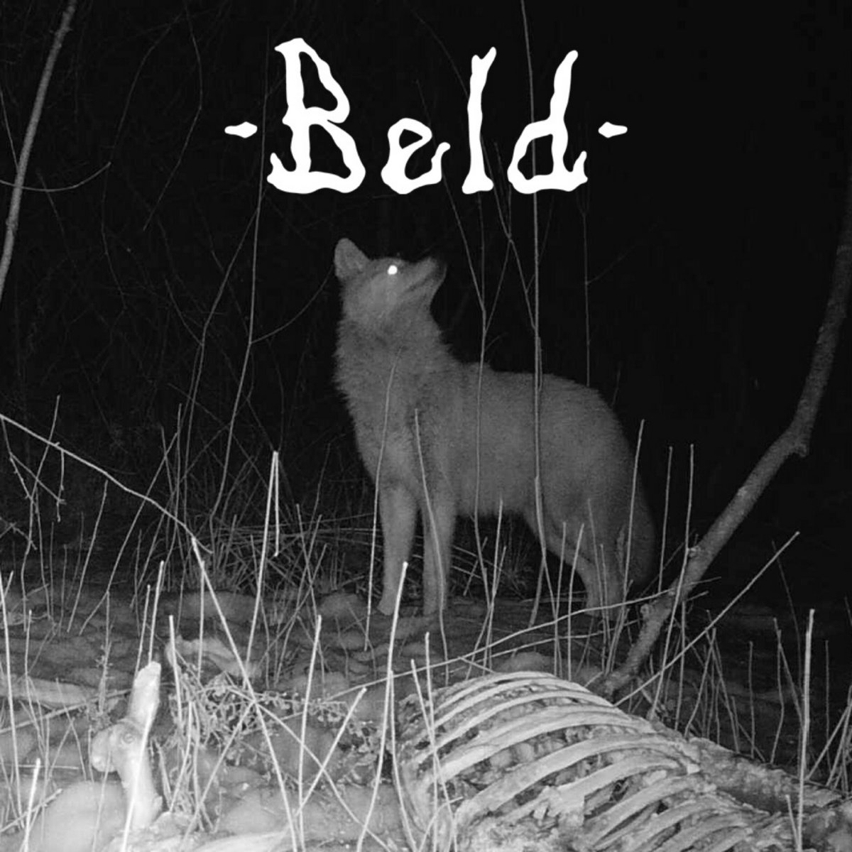 Live at The Buoyant Heart 12/20/25 | Beld