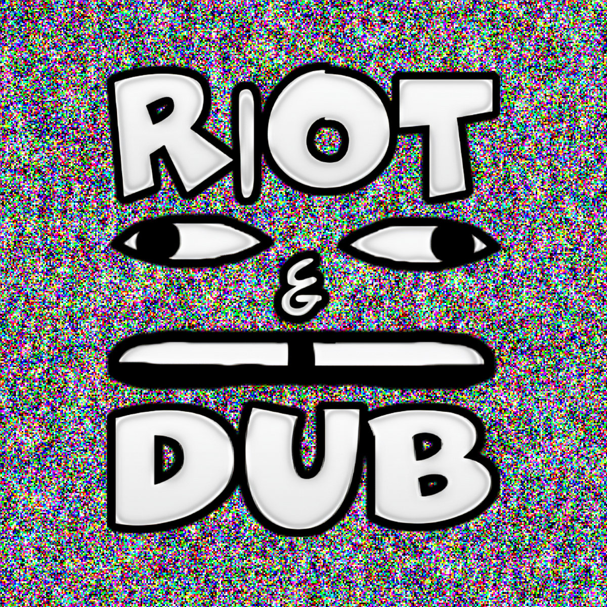 F****t And N****r | Riot And Dub