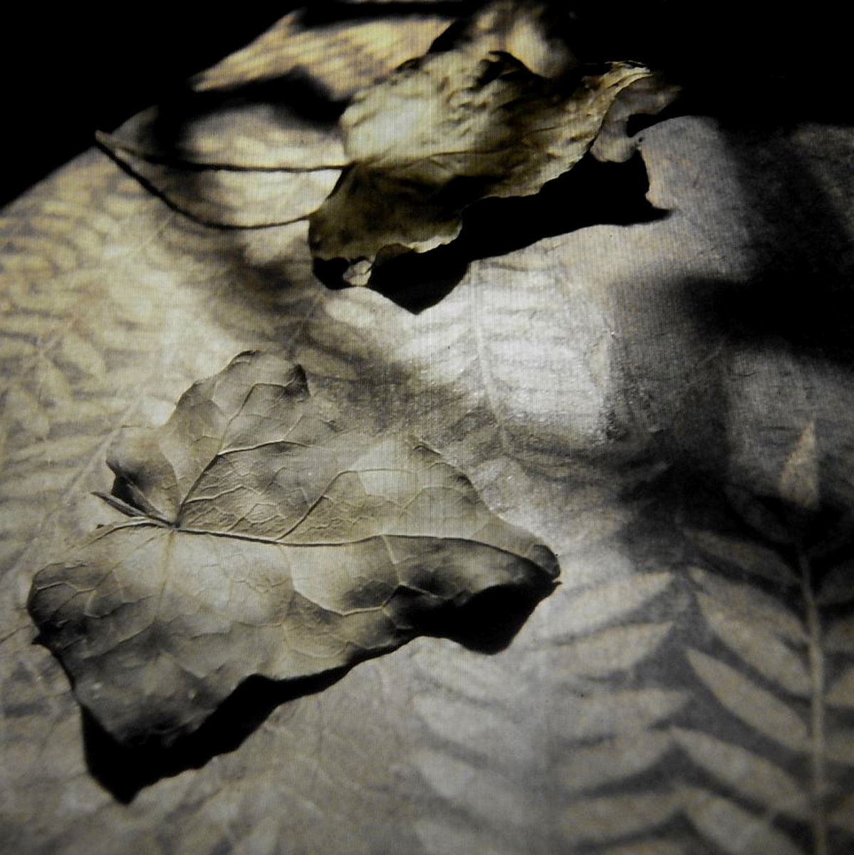 Gerhard Hallstatt PDF Karl Maria Wiligut (2026) | Gerhard Hallstatt