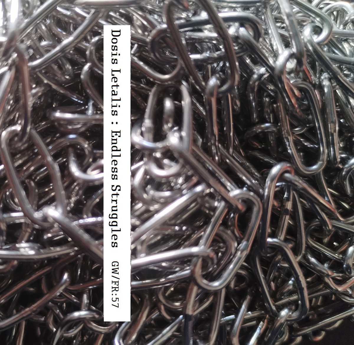 Endless Struggles | Dosis Letalis | Grubenwehr Freiburg