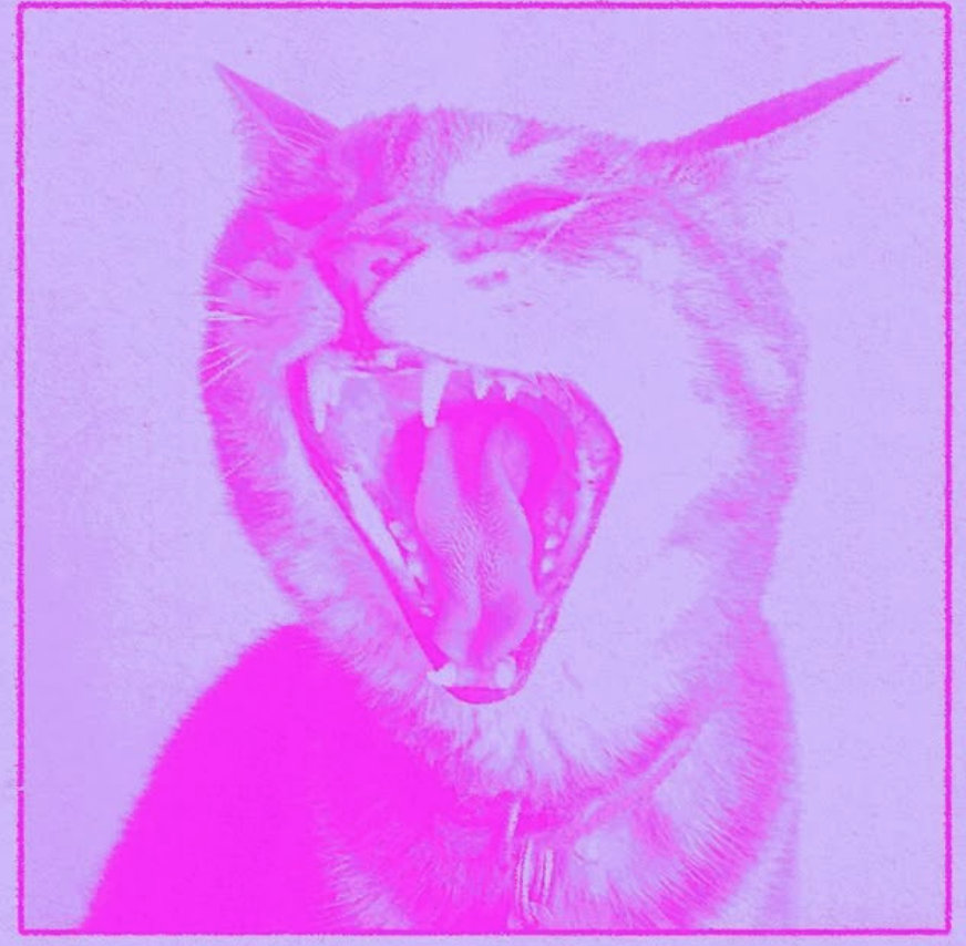 Pretty Boy | Anime Girlfriend