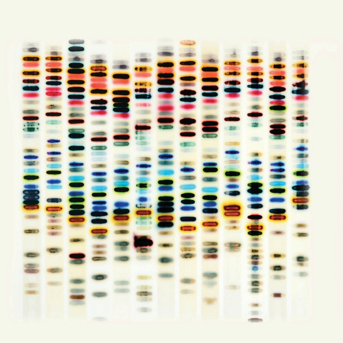 Magnetic Amphibian Hydrated Gills | ST 37 | Cleopatra Records