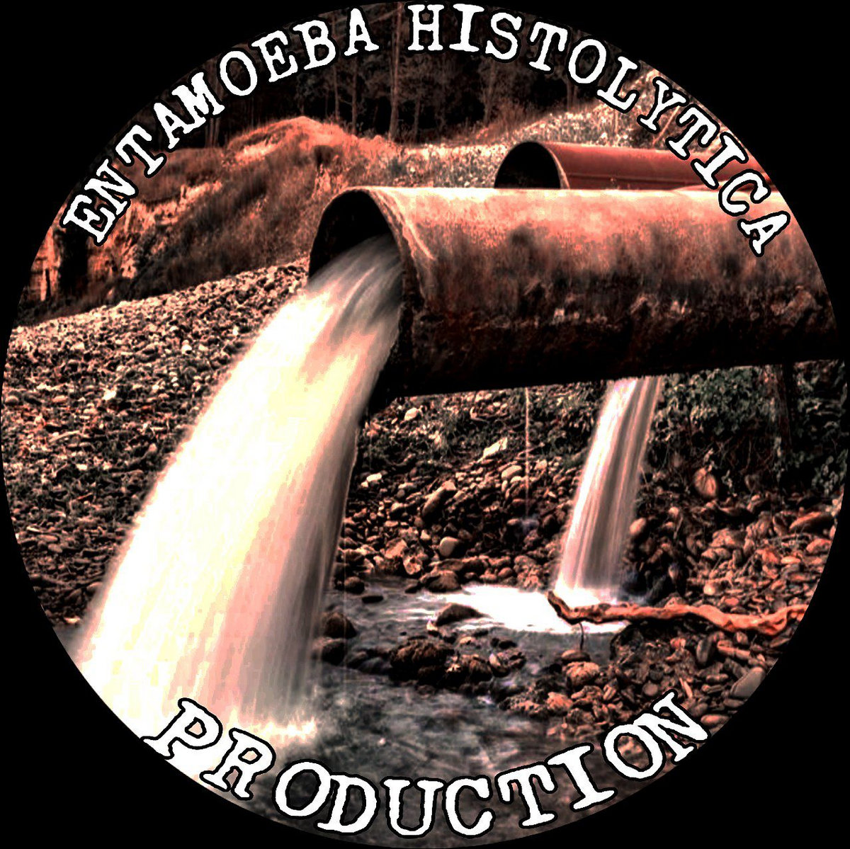 Gangrenosum Epidermis Destroying The Inside Ofthe Skin | Blastocystis ...