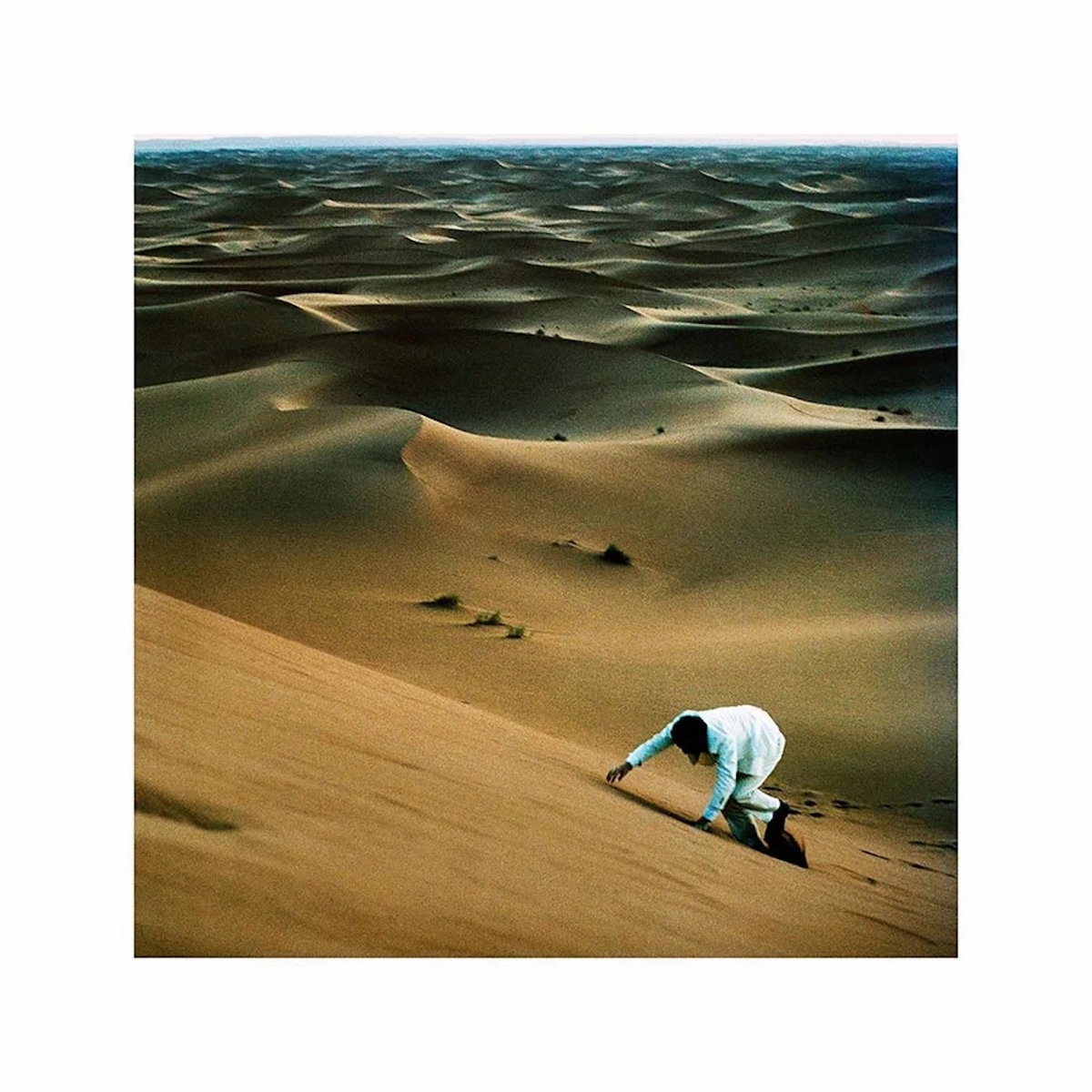 Prince of Tears | Baxter Dury