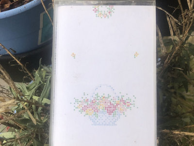 DISTRO ITEM: Favorite Haunts - Lavender CASS (Bud Tapes) | Carbon Records