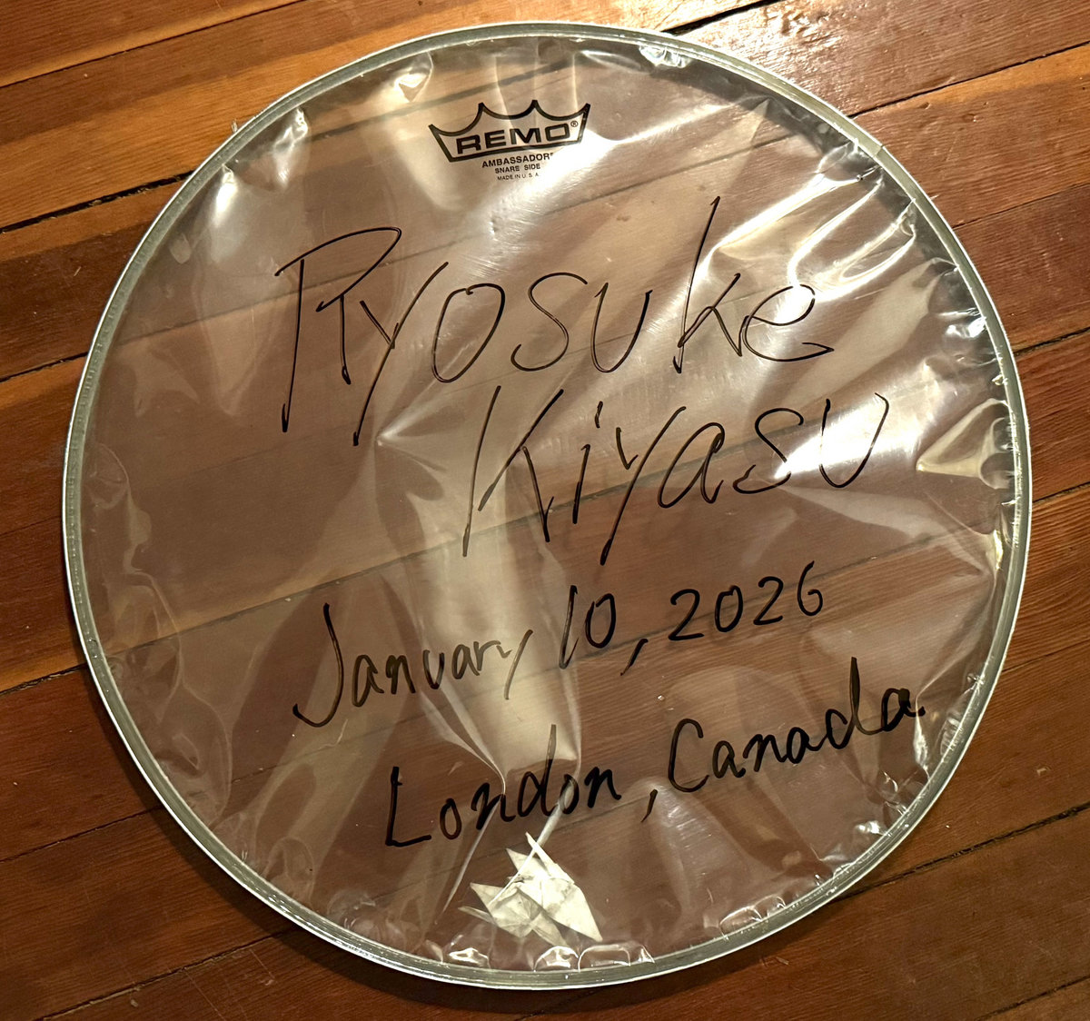 Signed Remo 14" Ambassador snare side head - January 10th, 2026 in ...