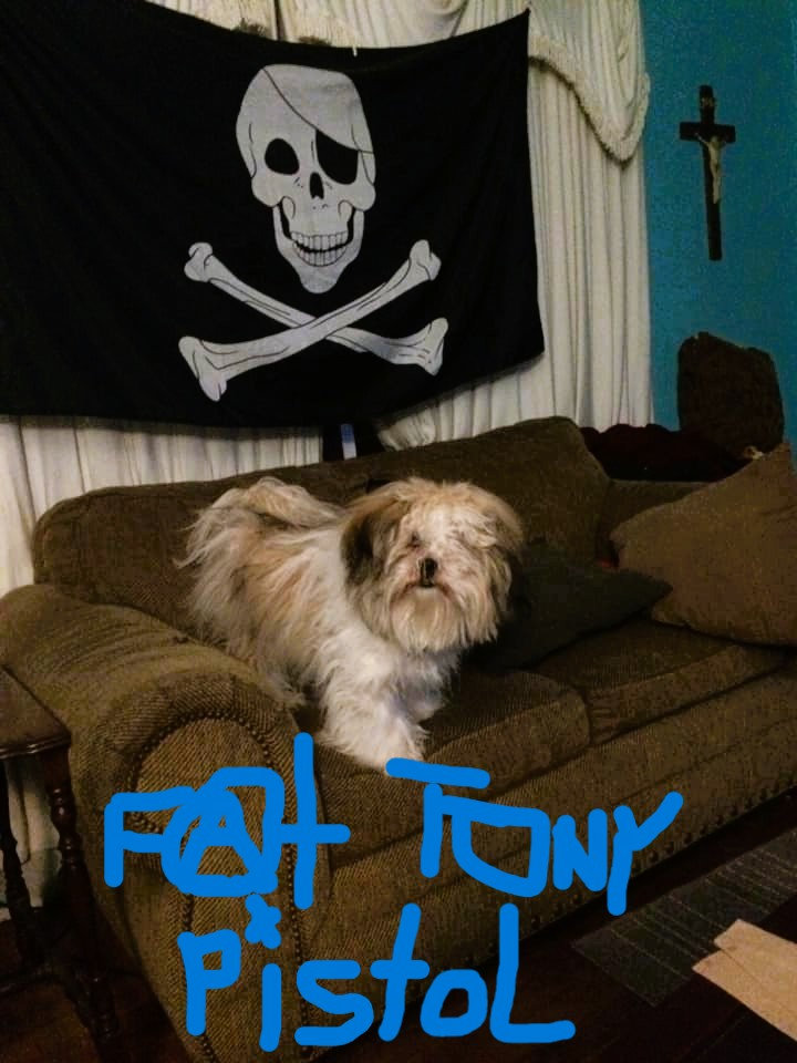 Smash The Fash | Fat Tony Pistol