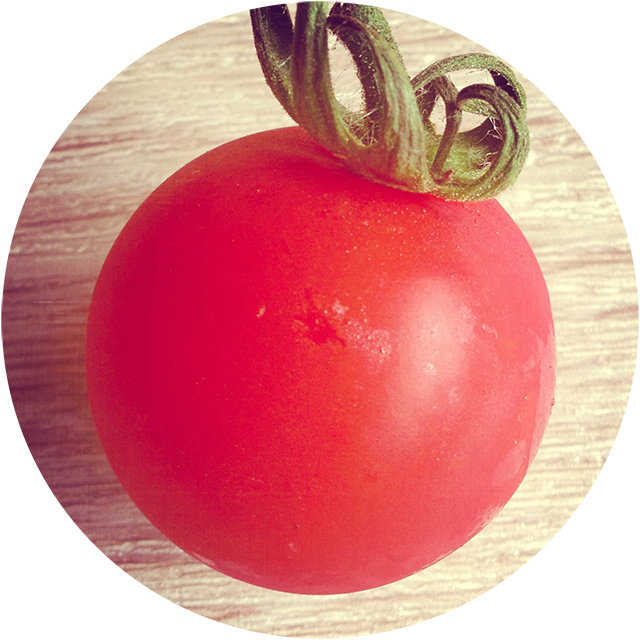 bronco bass test | pomodorosa