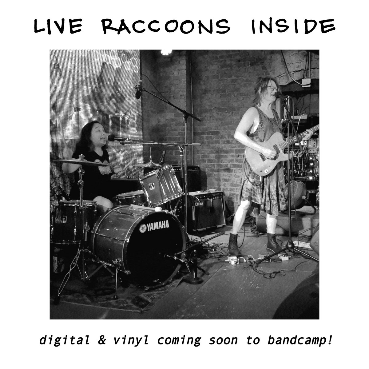 live raccoons inside | Trash Panda Go Kart