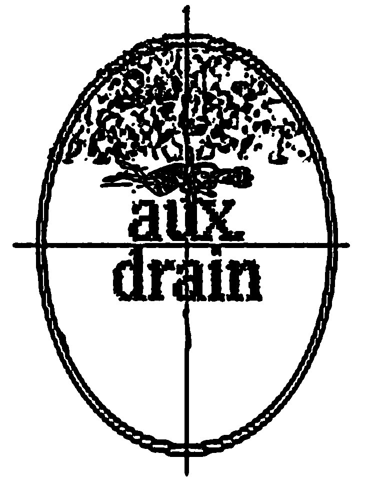 Trust In Authority | aux.drain