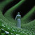 Submerged and Forgotten | ulk