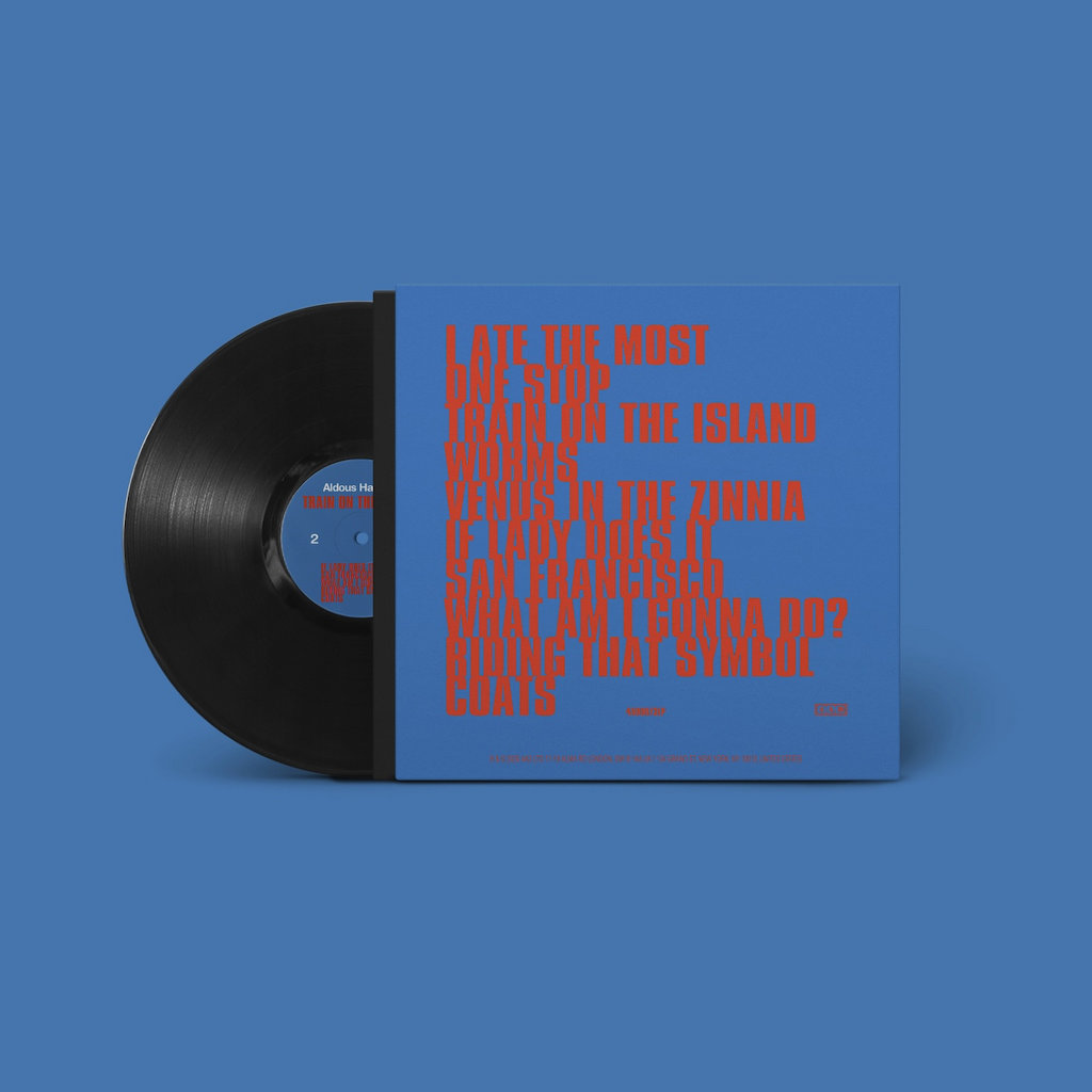 Aldous Harding, “Train On The Island” | Bandcamp Daily