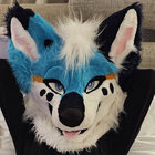 FURFAG | Pent Up Pup