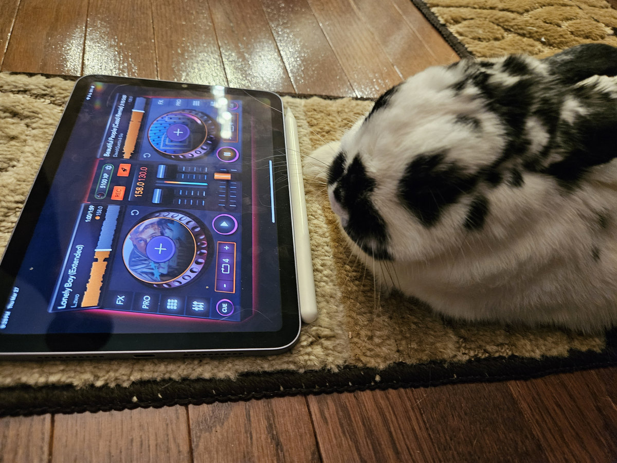 The Chase | DJ Rabbit(\./)