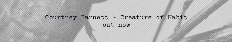 Creature of Habit | courtney barnett