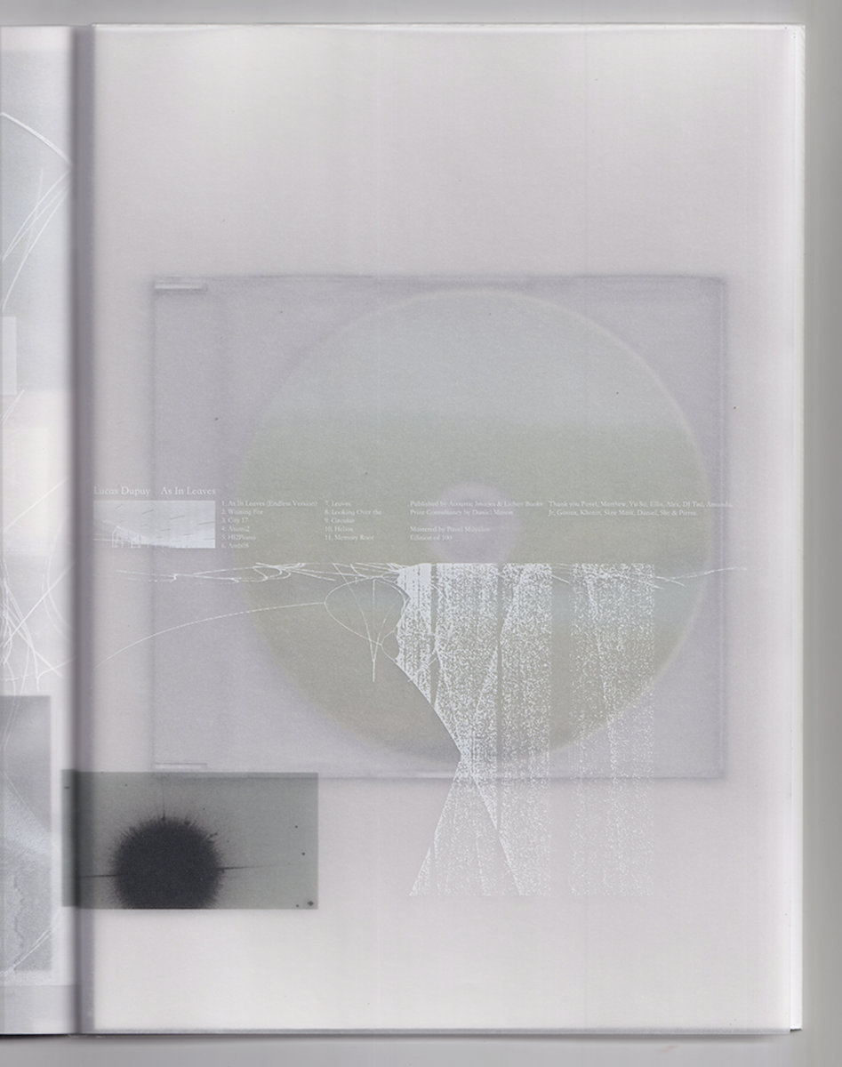As In Leaves | Lucas Dupuy