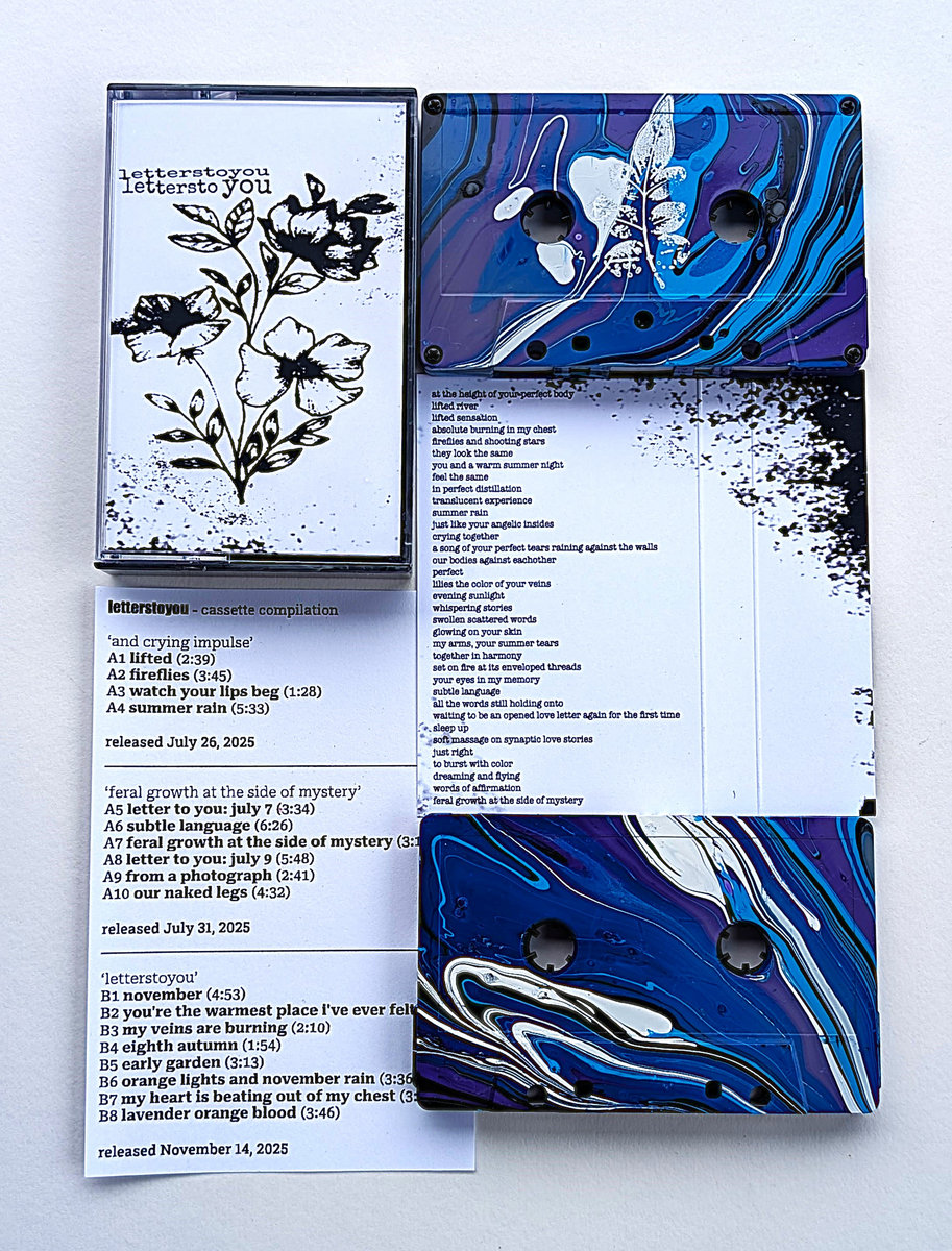 a shoebox of letterstoyou | LETTERSTOYOU | Zegema Beach Records