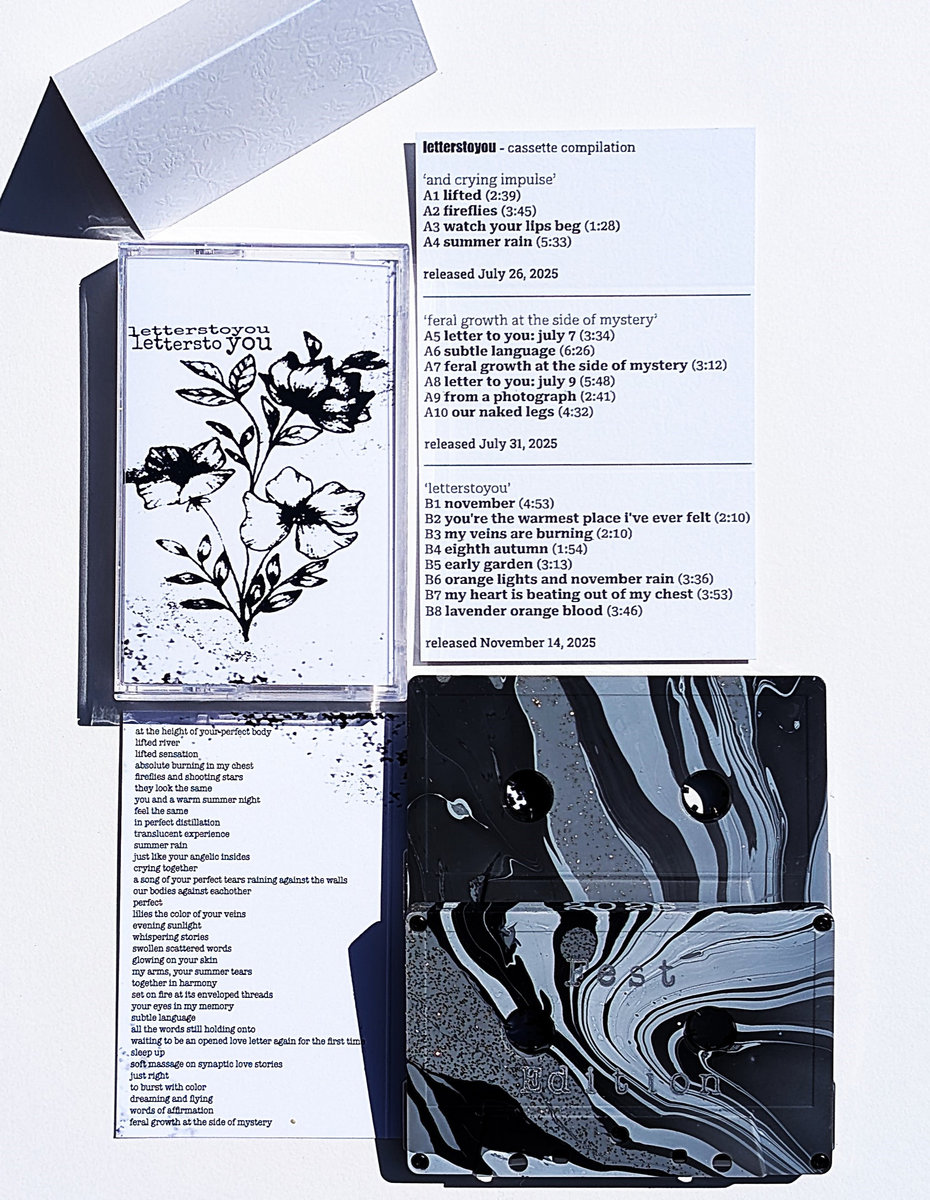 a shoebox of letterstoyou | LETTERSTOYOU | Zegema Beach Records